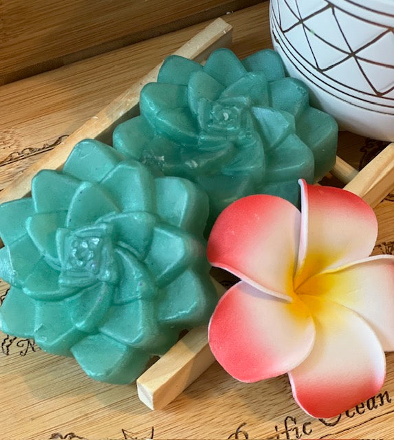 Sea Succulent – Ohana Soap Company